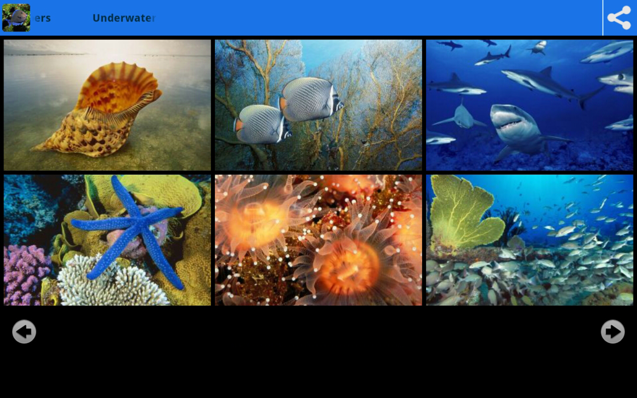 Underwater World Wallpapers - App on Amazon Appstore