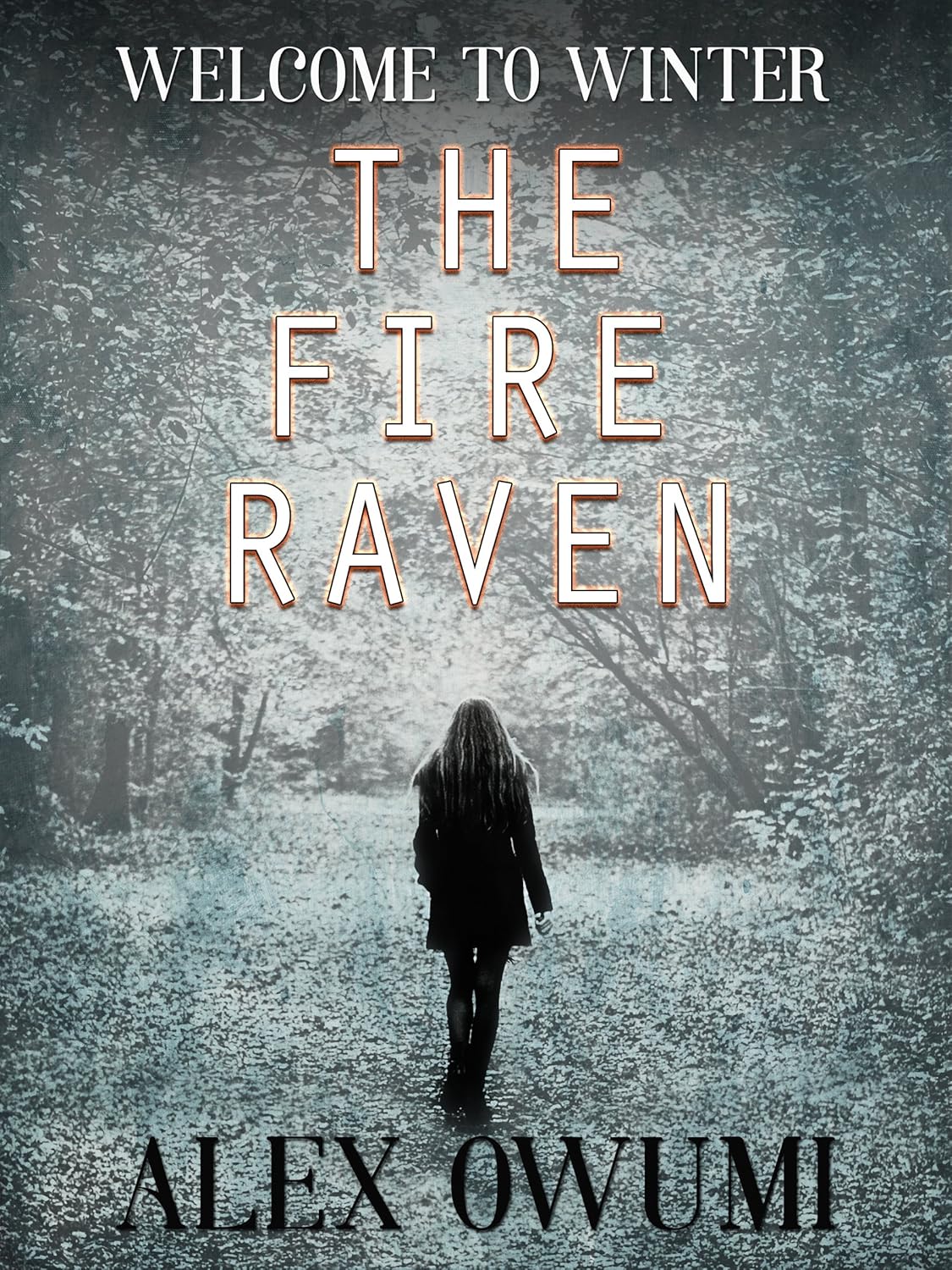 Amazon.com: The Fire Raven: Welcome To Winter eBook : Owumi, Alex ...