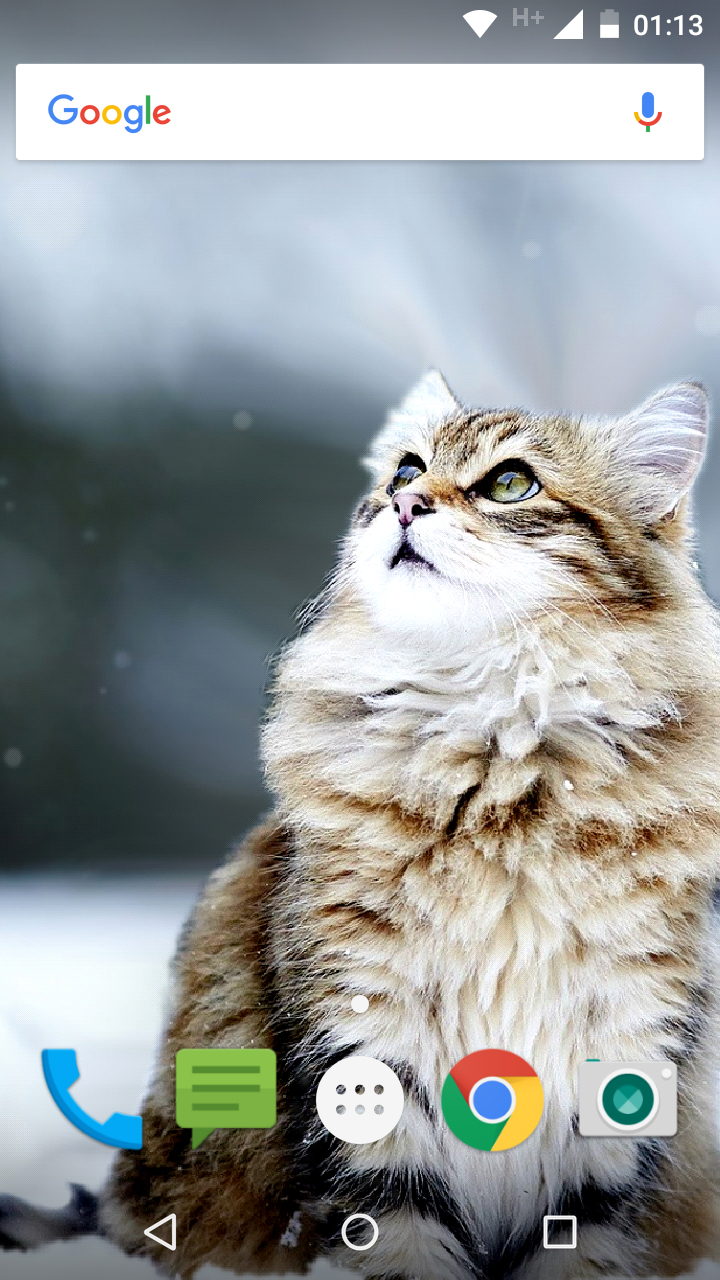 Kittens Live Wallpaper - App on Amazon Appstore
