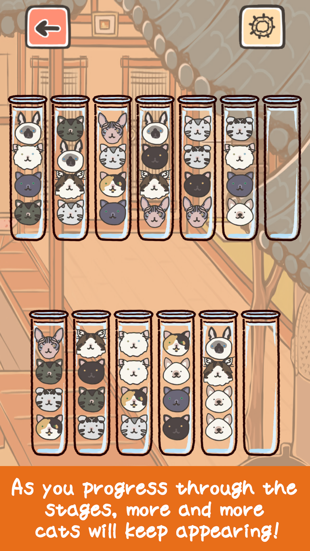 Cat Sort - Sort Puzzle Game - App on Amazon Appstore