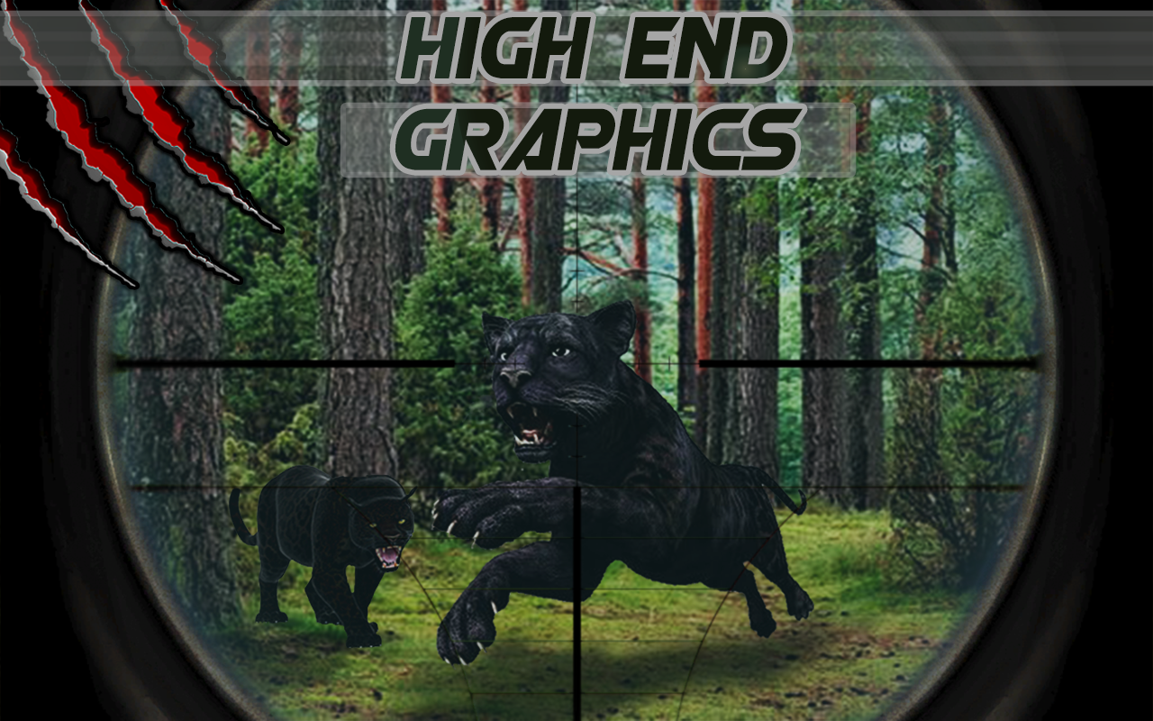 Black Panther Animal Hunting