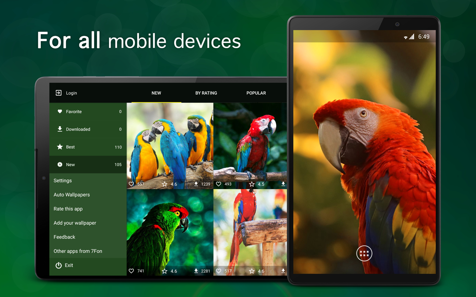 Parrot Wallpapers and Backgrounds apps 4k - App on Amazon Appstore