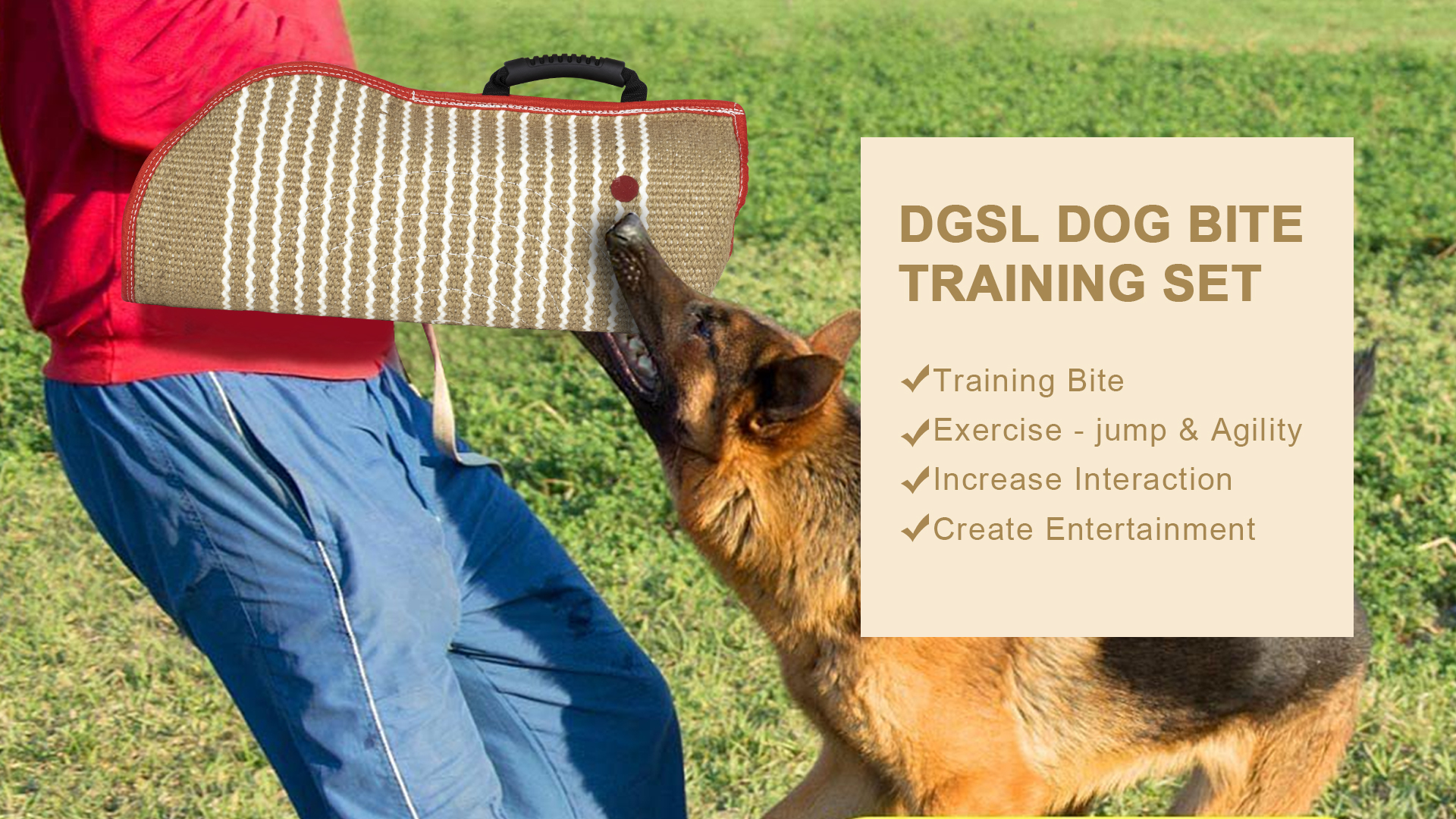 Watch Dog Bite Training Set for Training, Interactive, Puppy on Amazon Live
