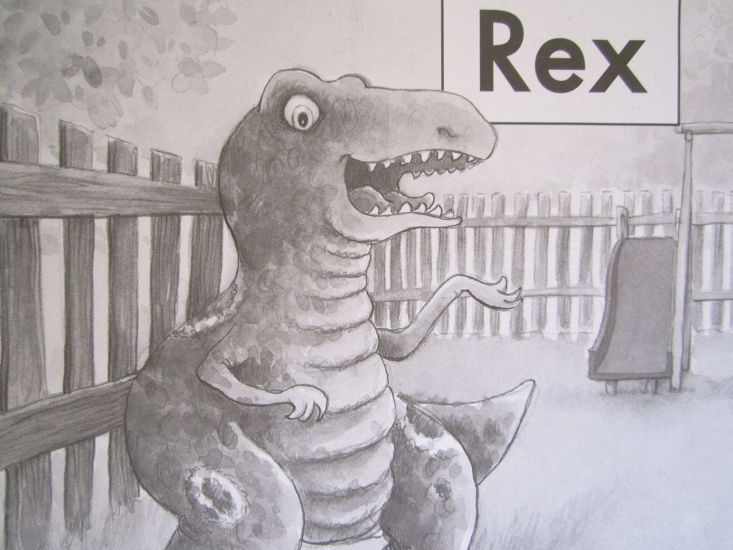 Rex (Fountas and Pinnell Leveled Literacy Intervention Books, Orange ...