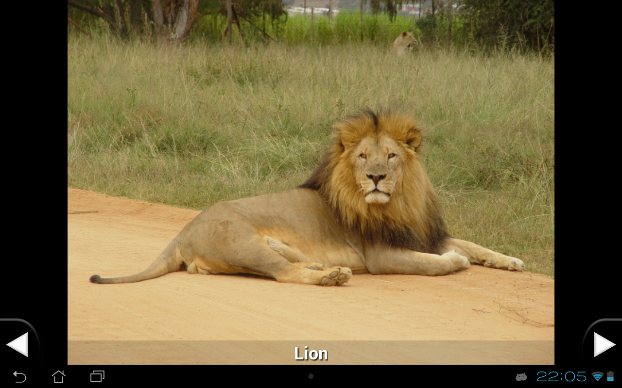 Toddler animal sounds - App on Amazon Appstore