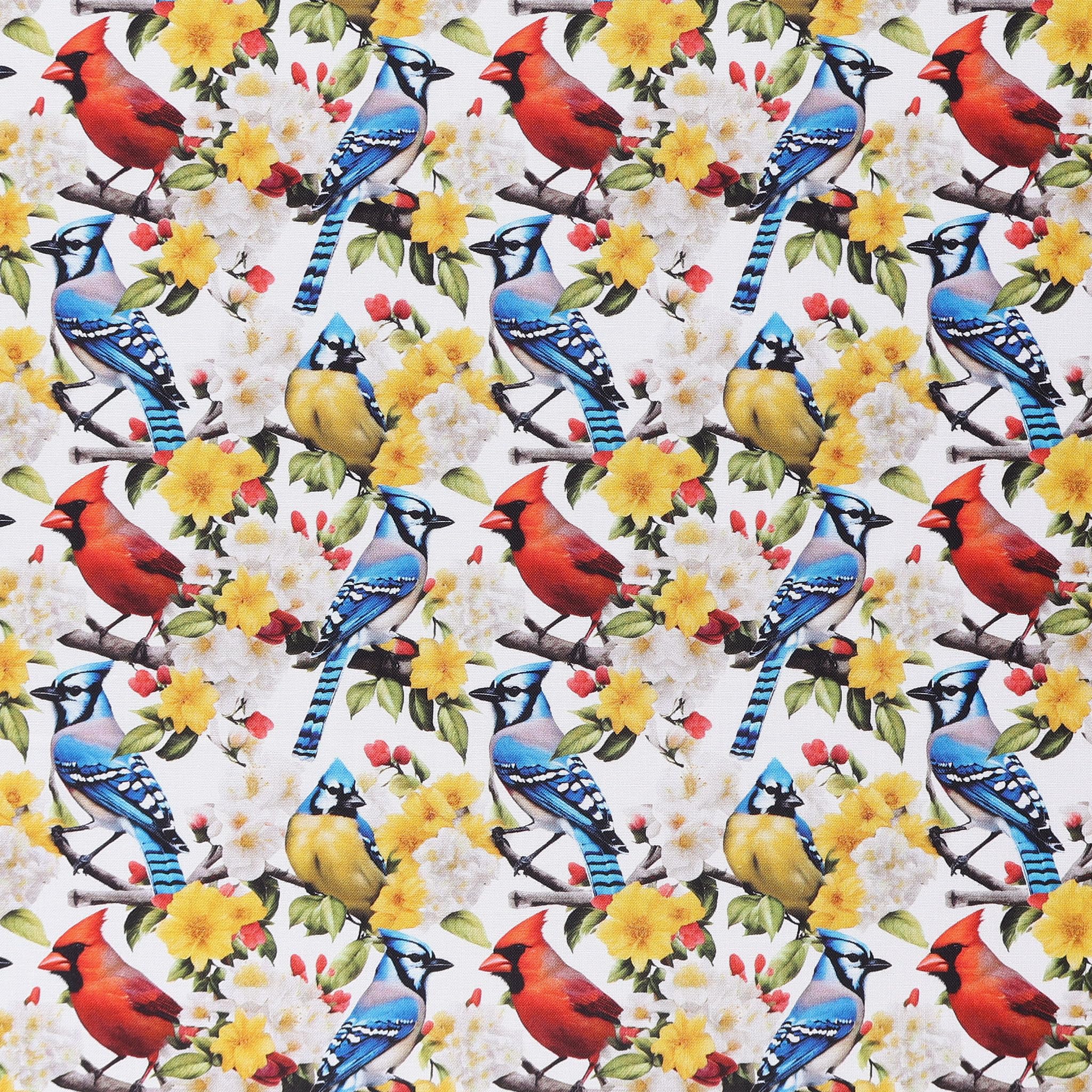 Amazon.com: Mook Fabrics Birds Fabric [45 in. Wide] – 100% Cotton ...