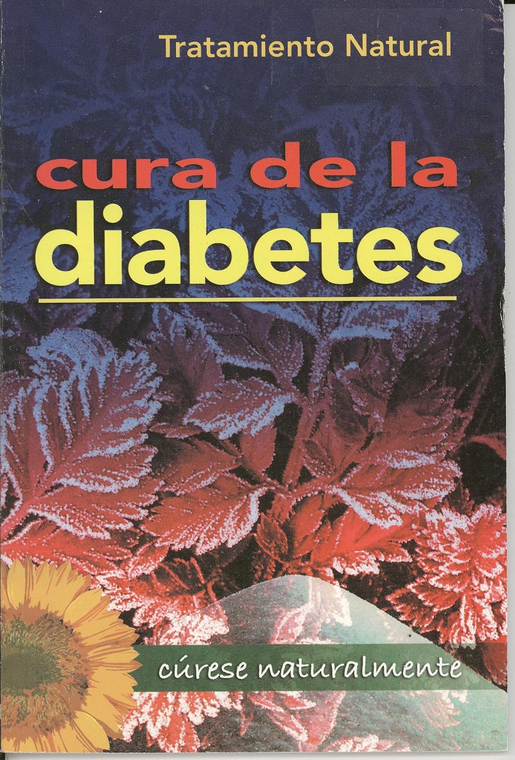 Cura de la Diabetes (Spanish Edition) (RTM Ediciones): Epoca ...