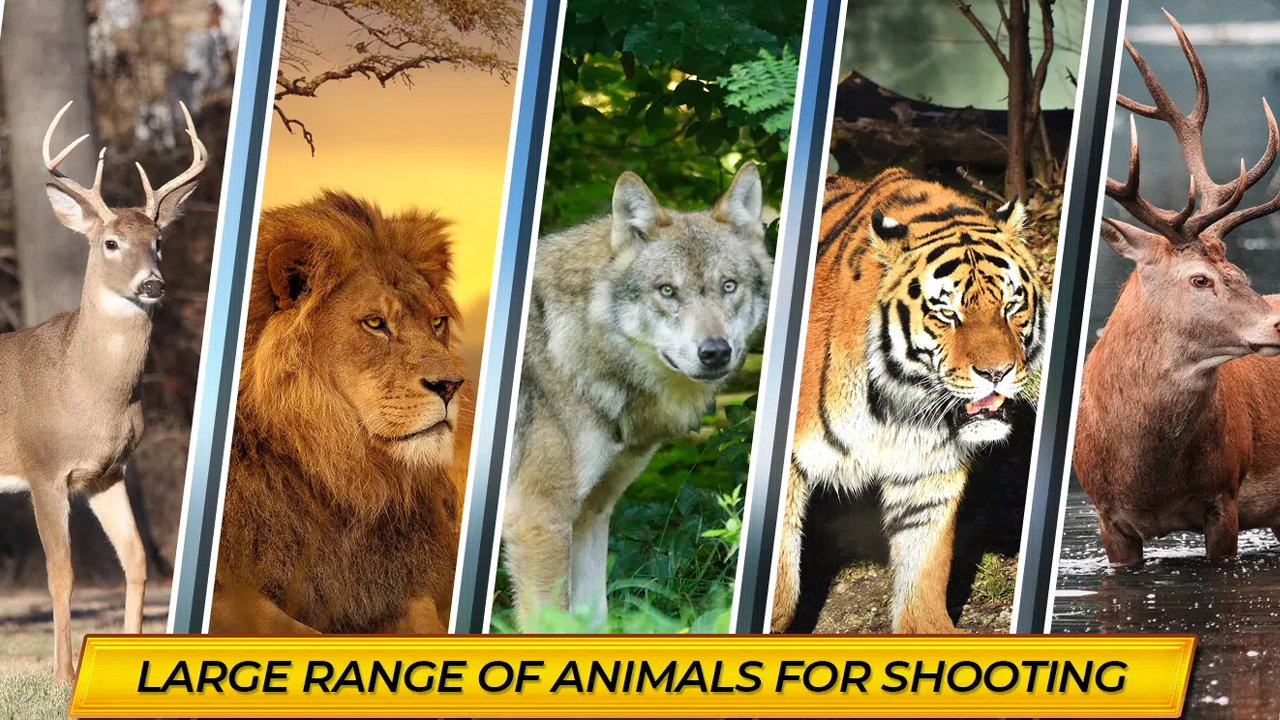 Wild Jungle Safari Animal Hunting Fps Shooter Adventure Game ...