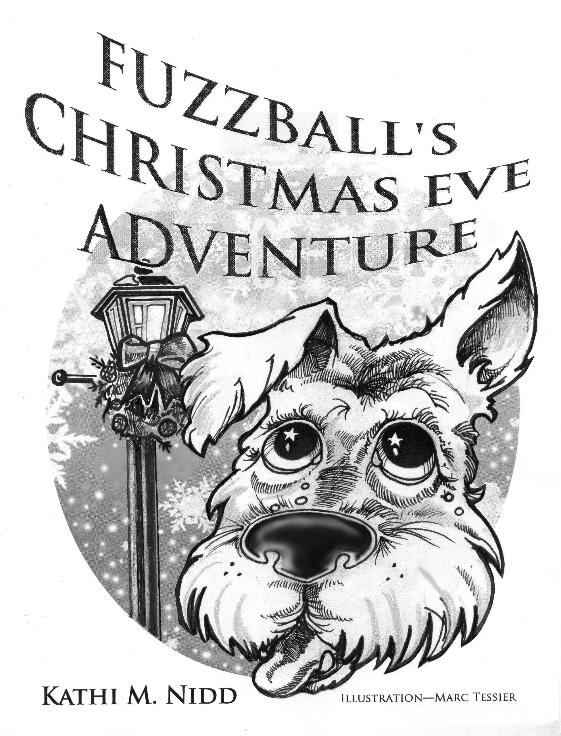 Book review of Fuzzball's Christmas Eve Adventure - Readers' Favorite ...