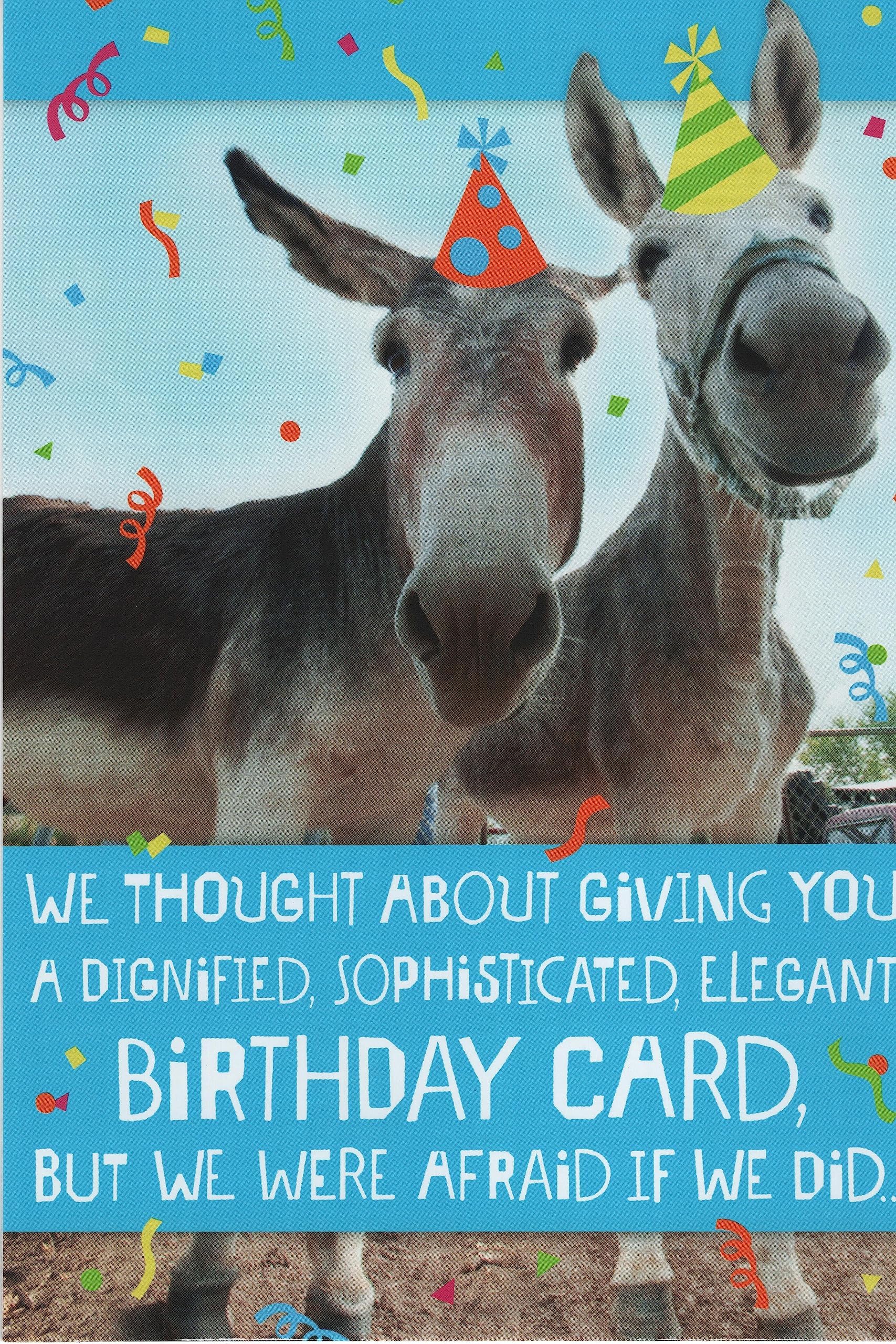 Amazon.com : Heartline Funny Donkey Birthday Card - We Thought About ...