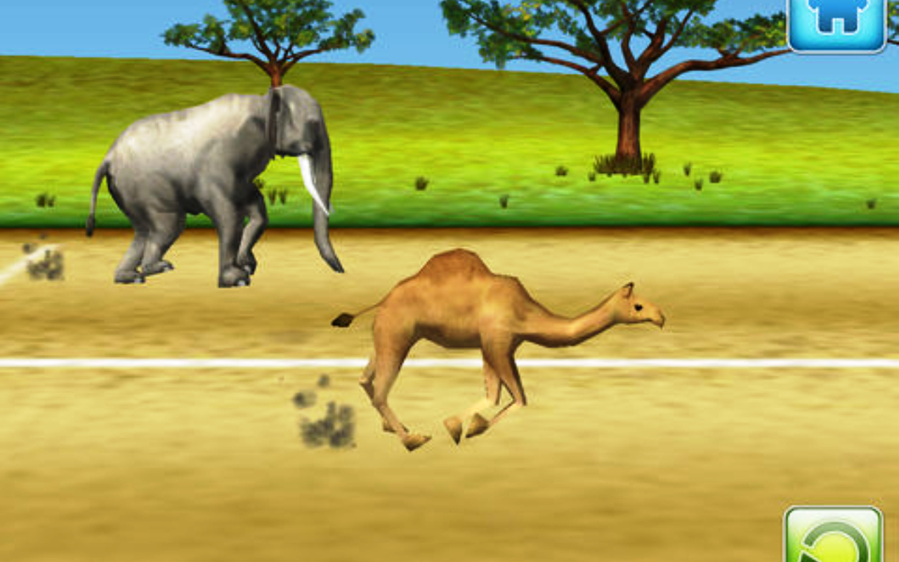 M36 Animal Race - App on Amazon Appstore