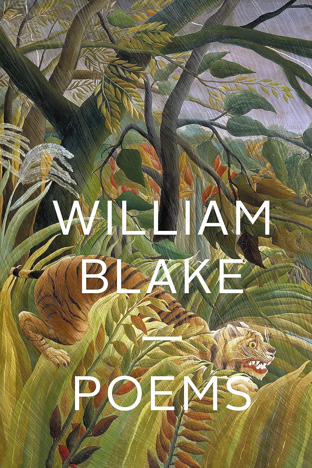 Poems of William Blake - Kindle edition by Blake, William. Literature ...