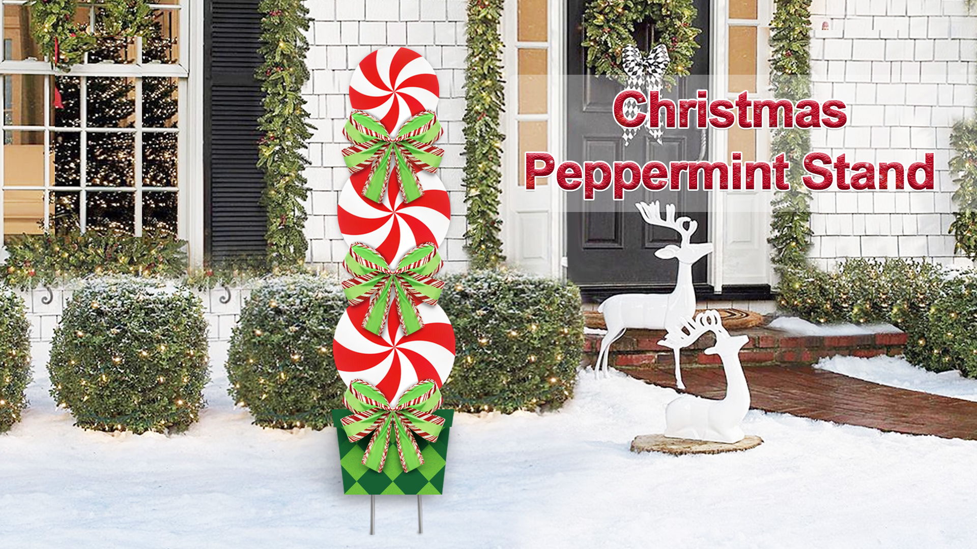Watch Christmas Peppermint Stand on Amazon Live