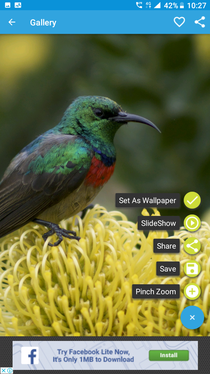 Nature Wallpaper 4K - App on the Amazon Appstore