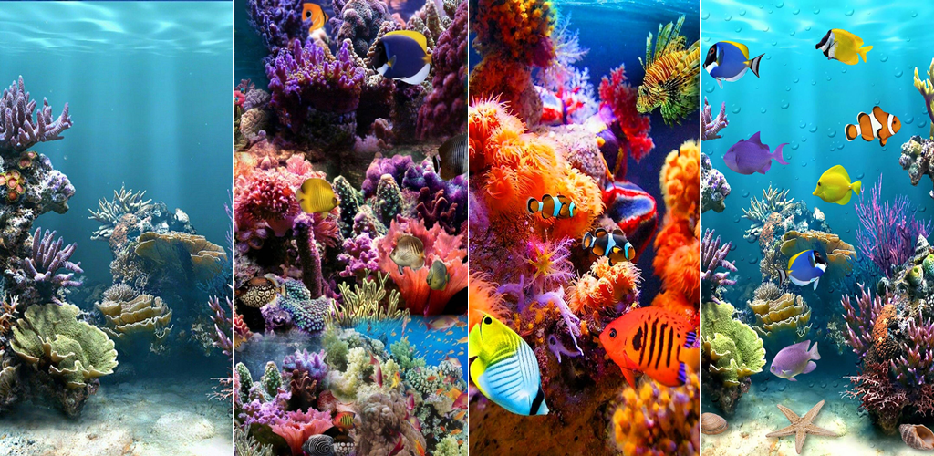 Aquarium Screensaver:Amazon.com:Appstore for Android