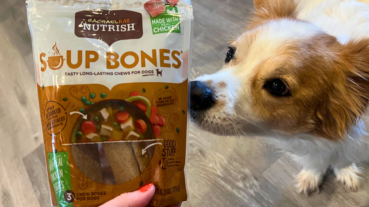Watch Good for Older Dogs Who Can't Chew Hard Bones on Amazon Live