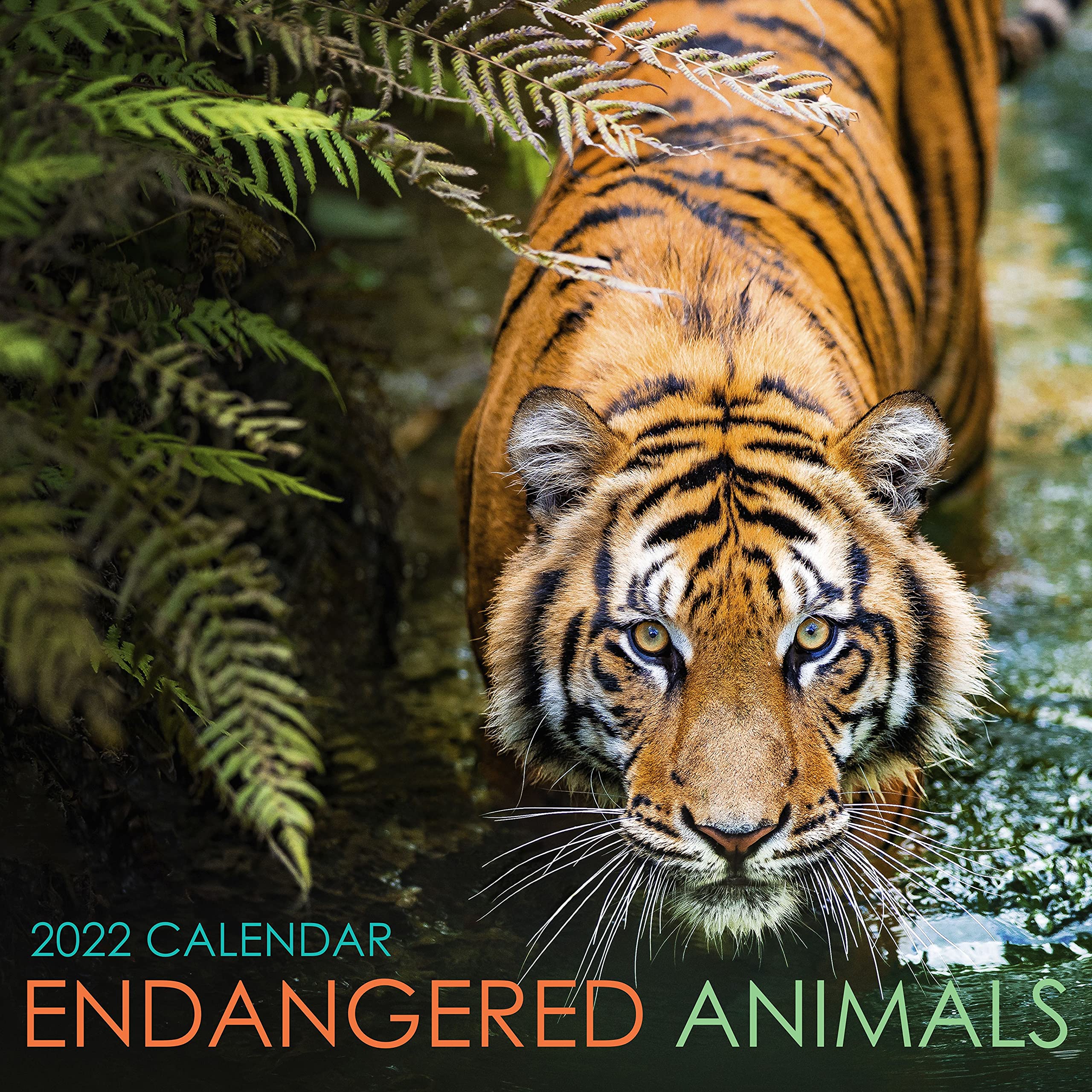 Buy 2022 Endangered Wildlife, Animals and Nature Square Hanging Wall ...