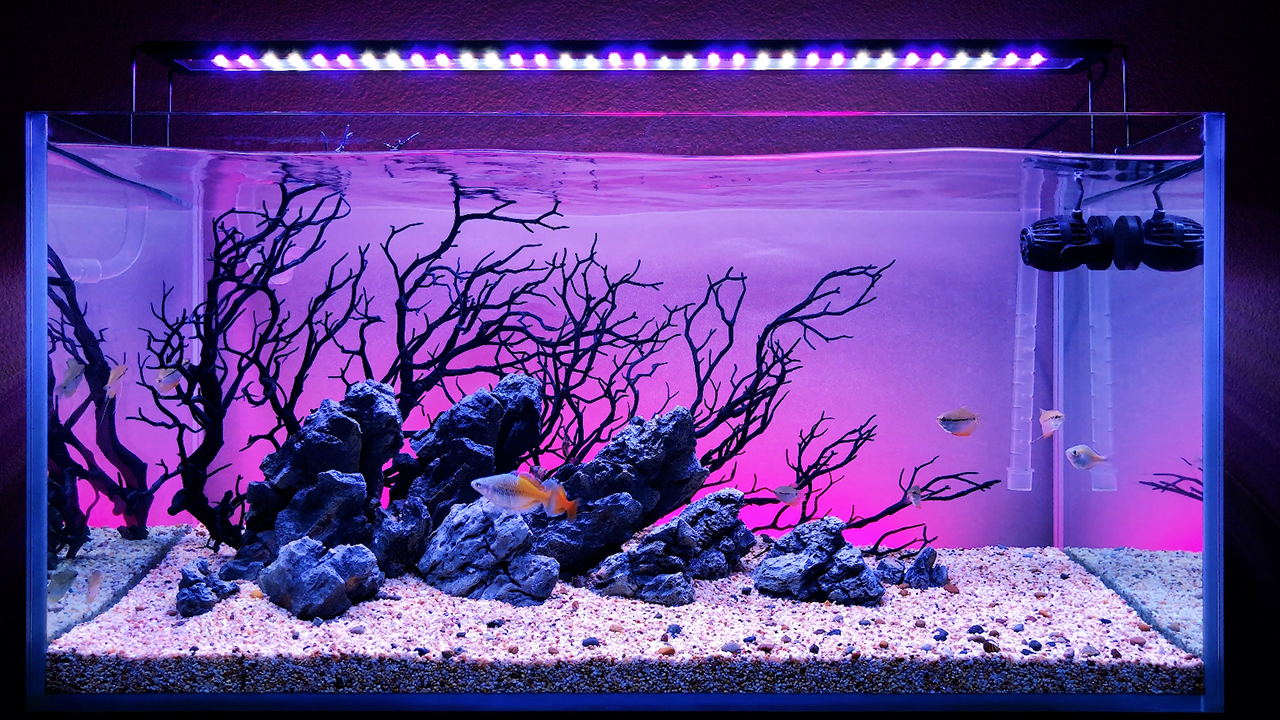 Current Usa Aquarium Lighting Current USA 4012 36" 48" Satellite Plus