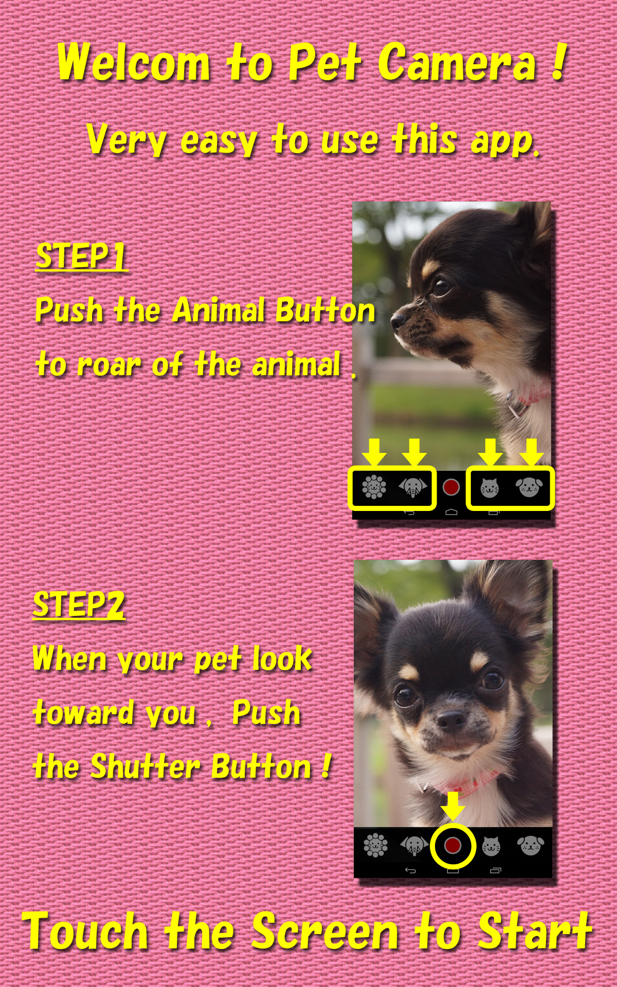 Pet Camera - App on Amazon Appstore