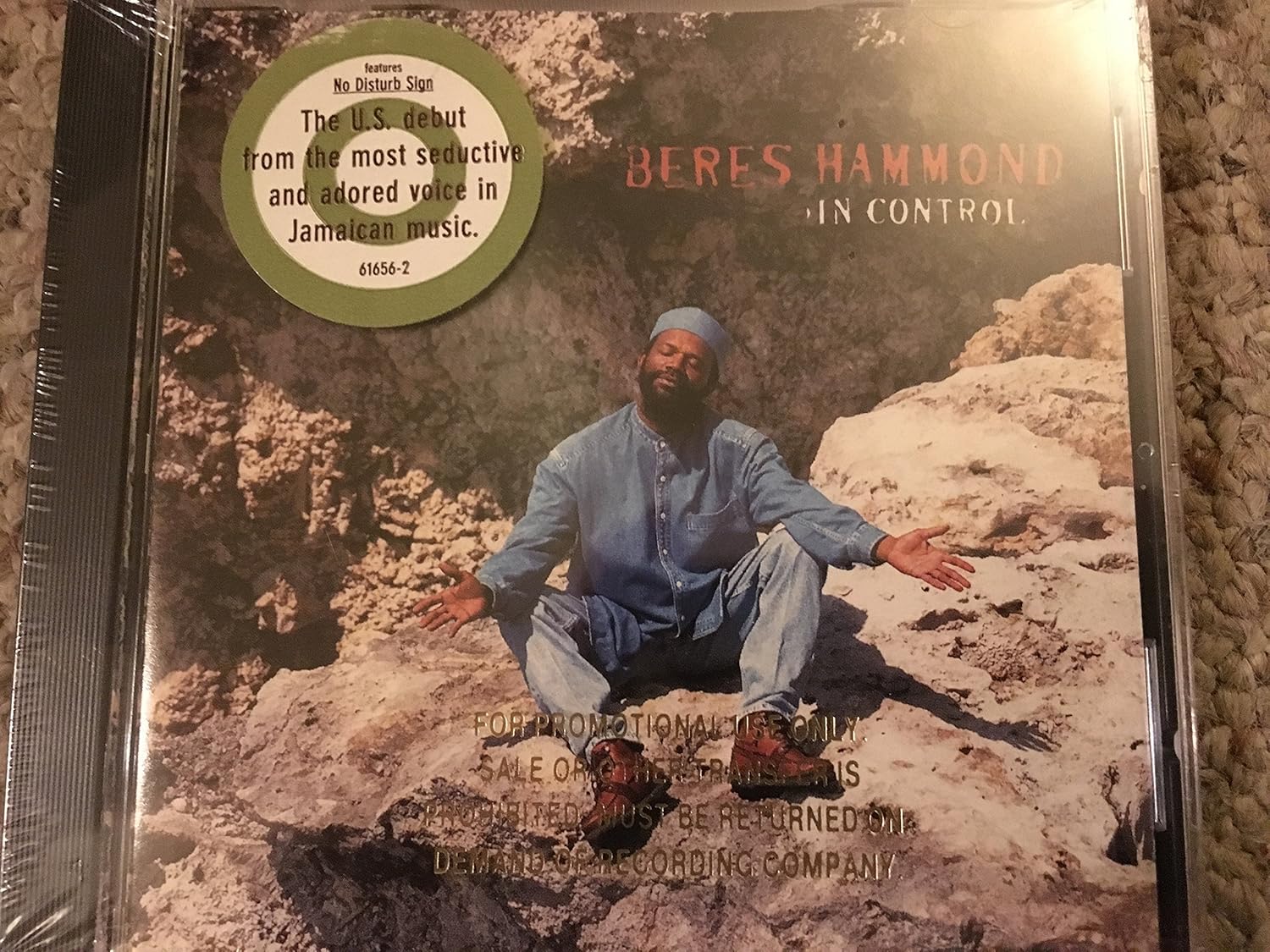 Amazon.com: In Control: CDs & Vinyl