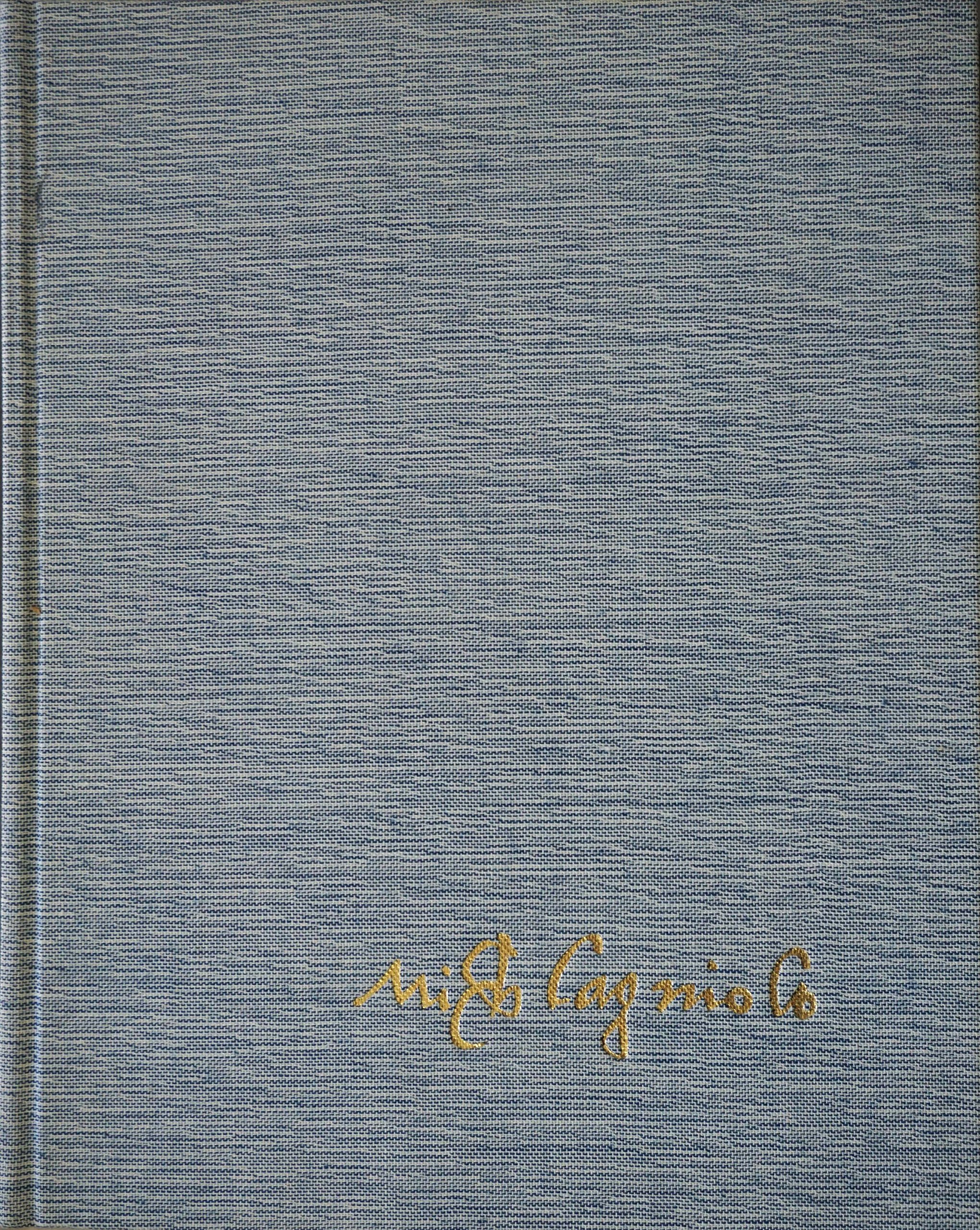 Michelangelo: Frederick Hartt, Milton S. Fox, Michelangelo Buonarroti ...