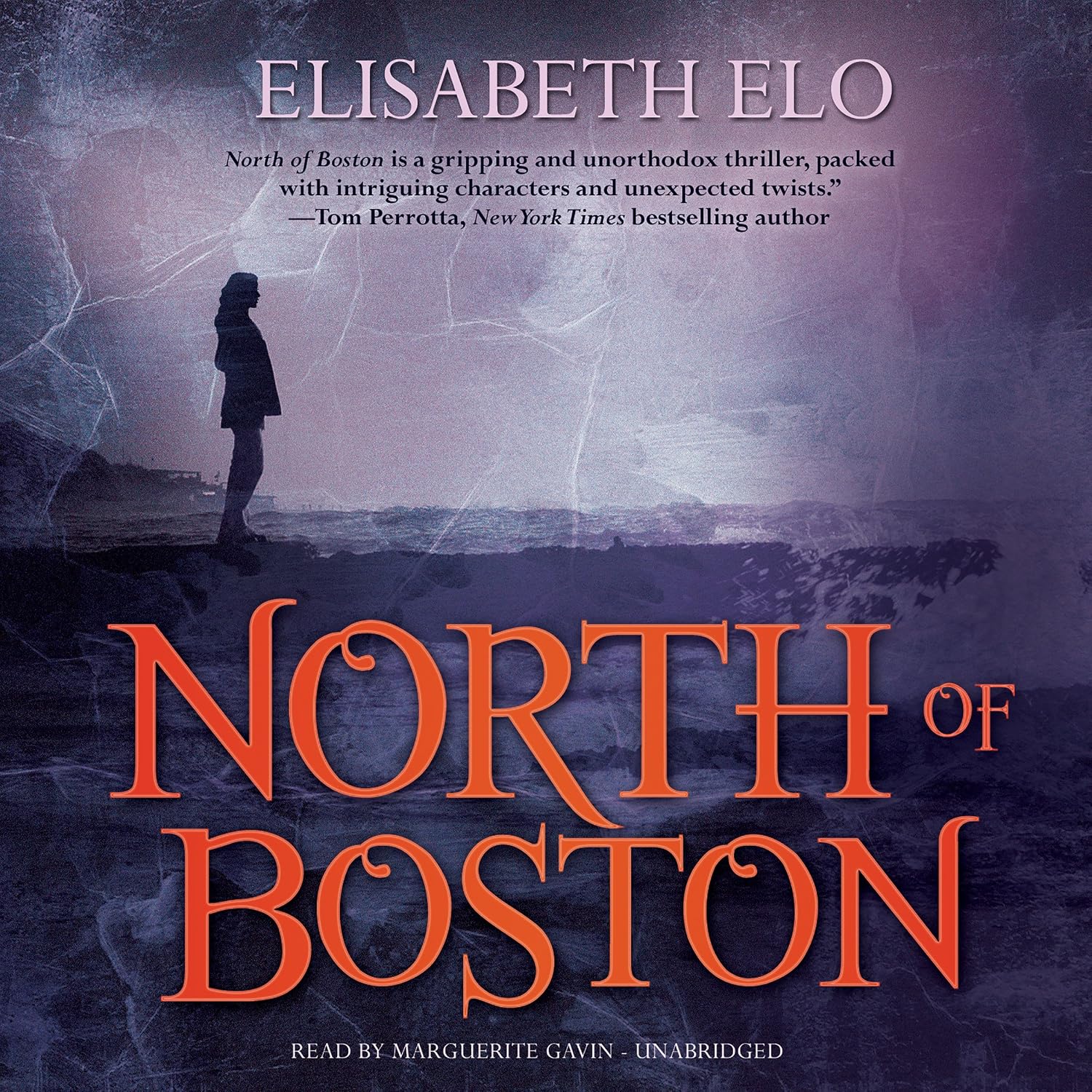 Amazon.com: North of Boston (Audible Audio Edition): Elisabeth Elo ...