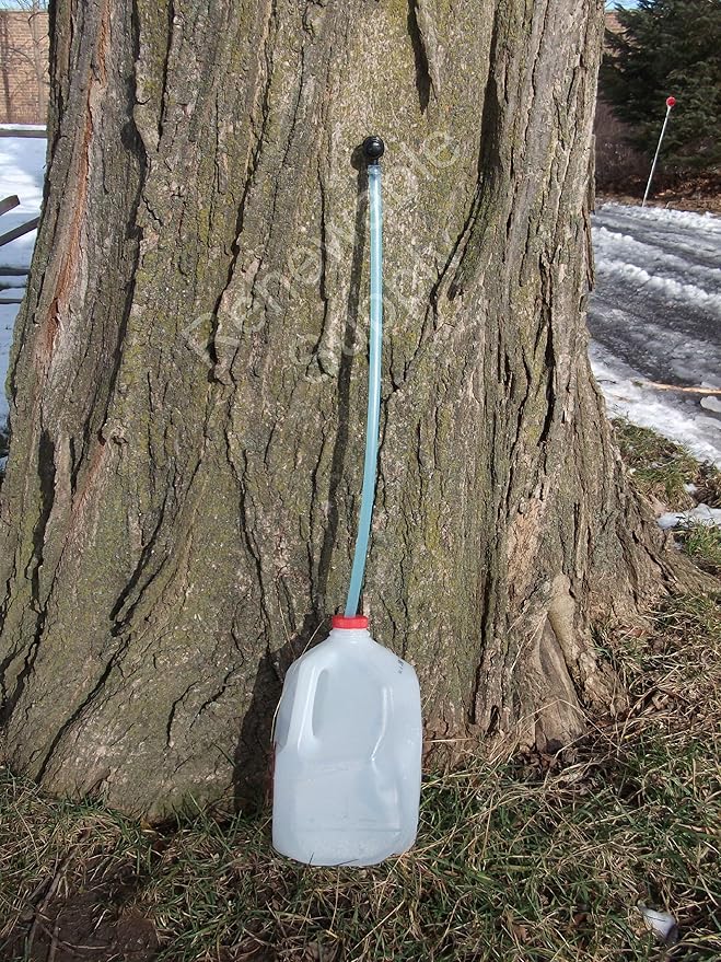 Amazon.com: Premium Maple Syrup Tapping Kit (Sap Line & Tap 10 Per Kit)