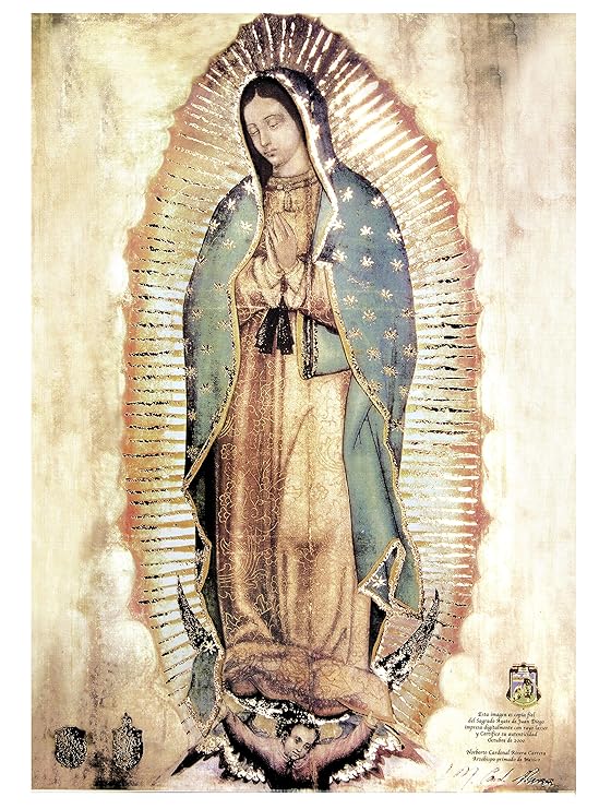 Our Lady of Guadalupe Body Portrait (12"x16") - Religious Wall Art Print Poster : Amazon.in ...