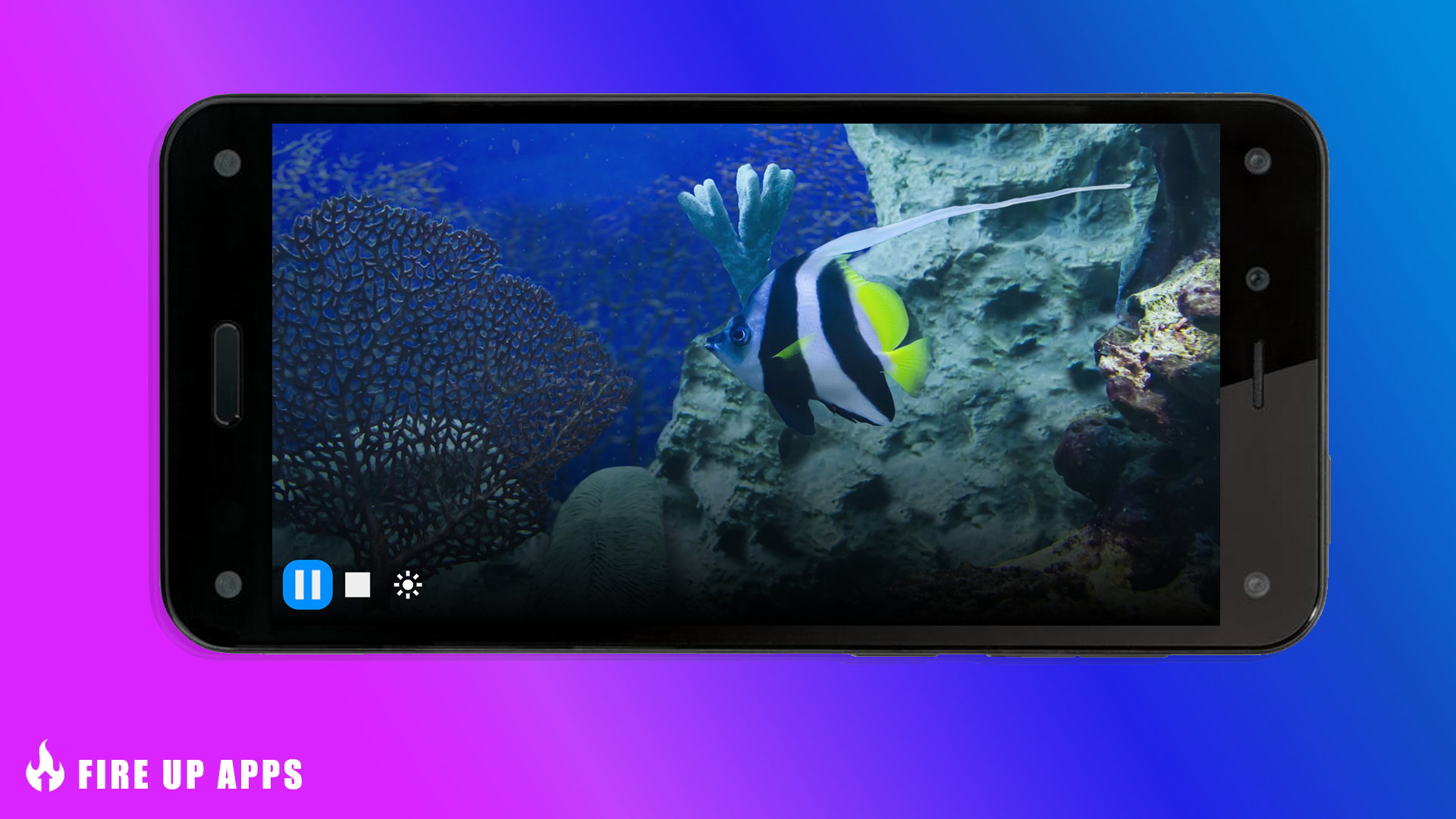 Marine Aquarium : Relaxing Coral Reef Fish & Beautiful Sea Animals | HD ...