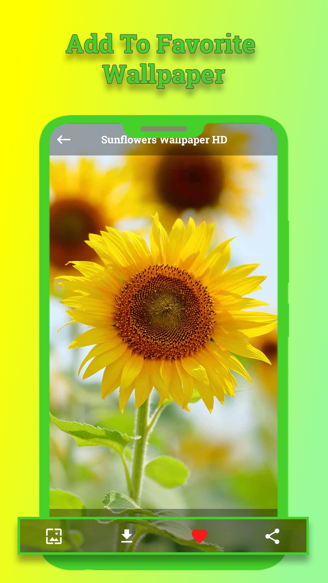 Sunflowers Wallpaper HD - App on Amazon Appstore