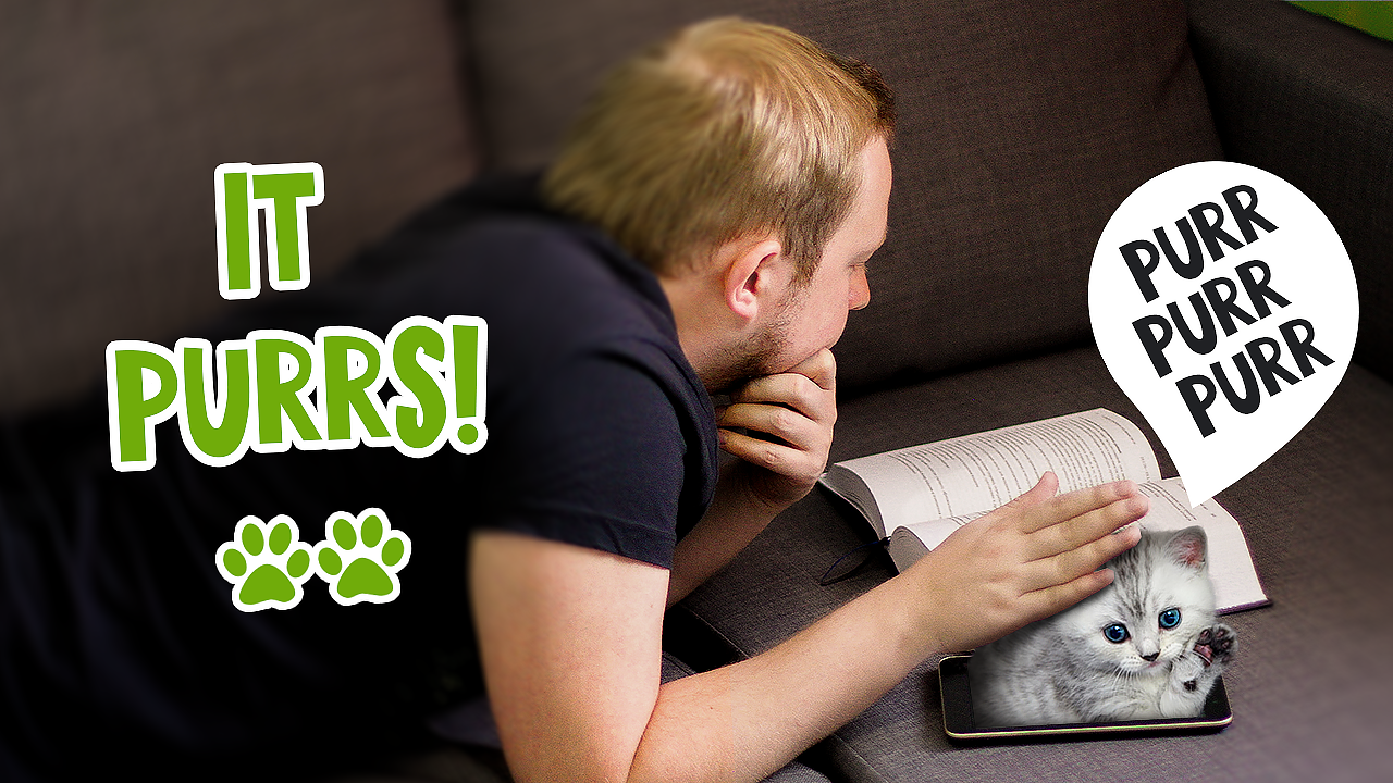 Pat the Cat - App on Amazon Appstore