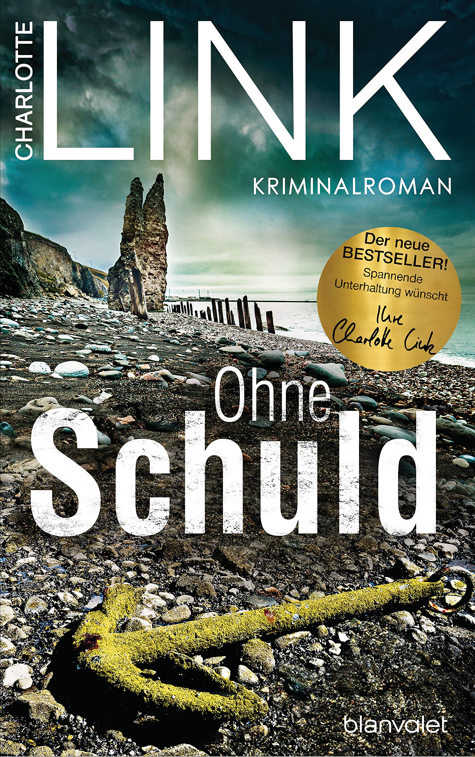 Ohne Schuld: Kriminalroman - Die große Bestseller-Verfilmung, jetzt in ...