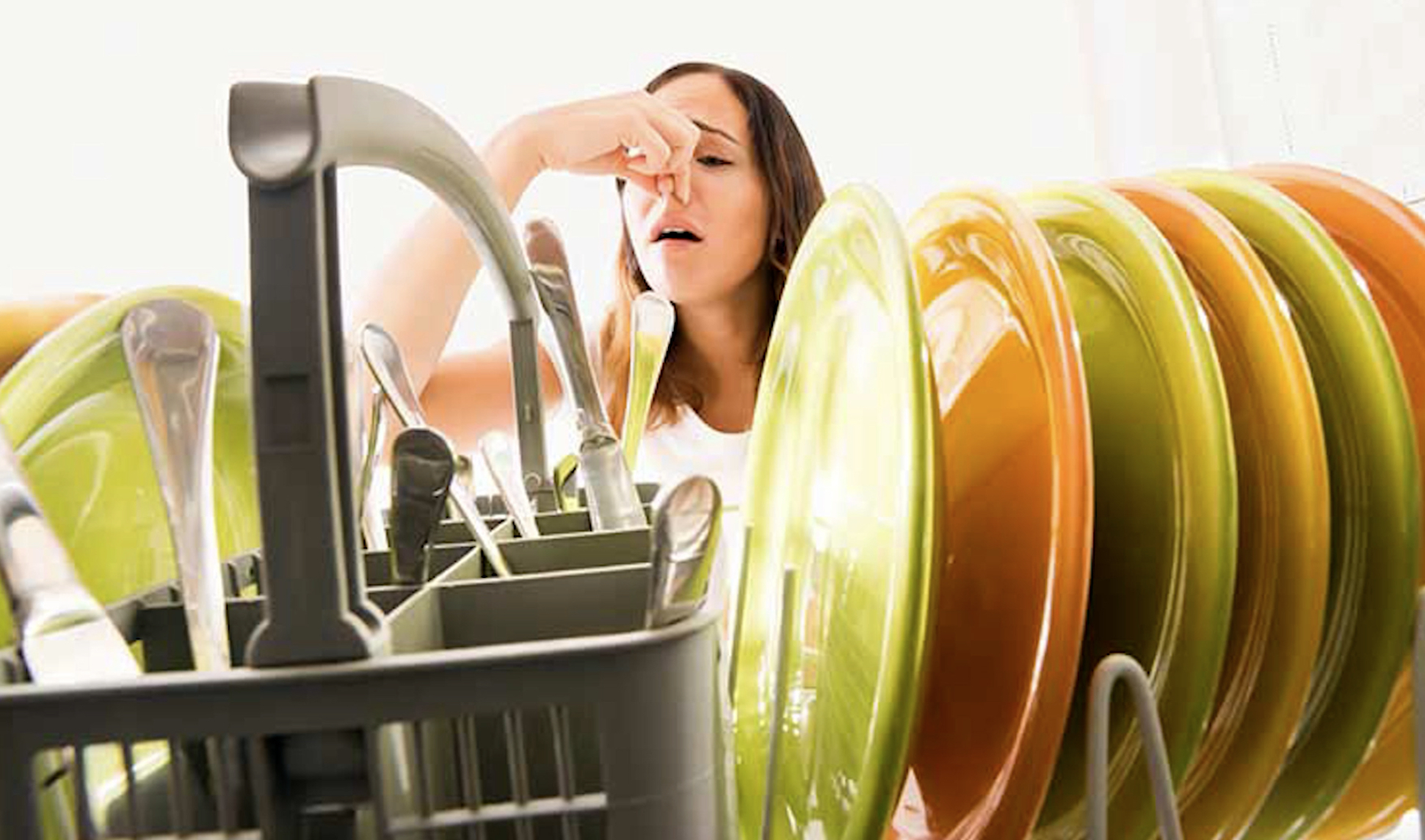 Snapklik.com : Dishwasher Cleaner Deodorizer Tablets 48 Pack - Deep ...