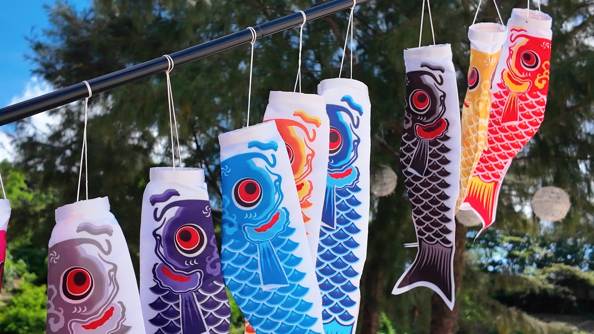 Japanese Carp Kites Directional Koi Windsock Dapple – Premier