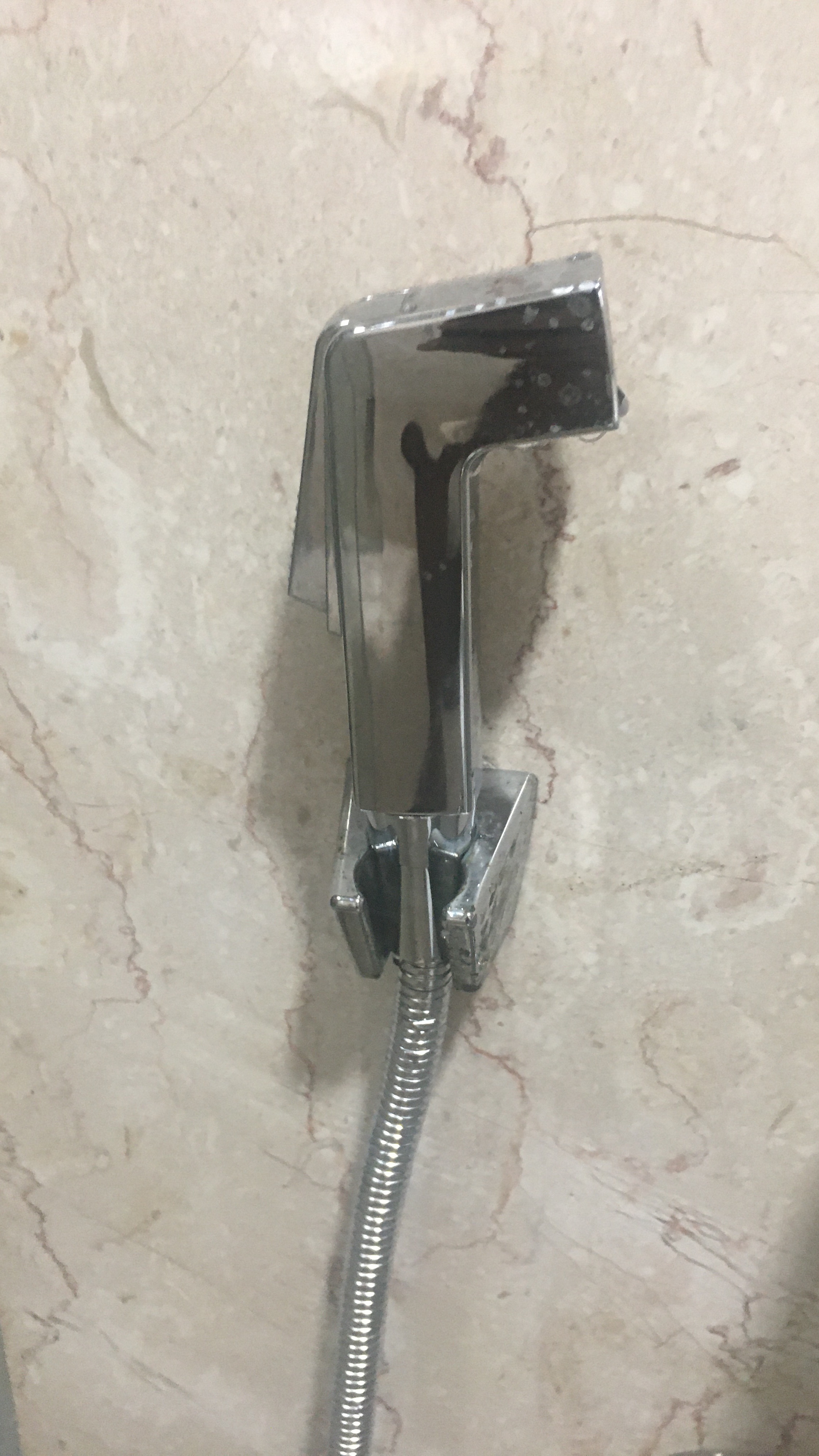 Parryware Crust T9961A1 Brass Health Faucet with Hose and Hook (Silver ...