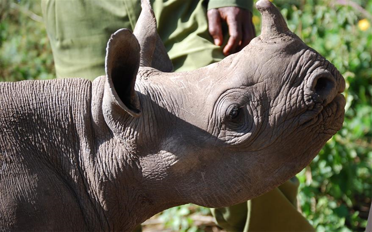 Conservationfinder - App on Amazon Appstore