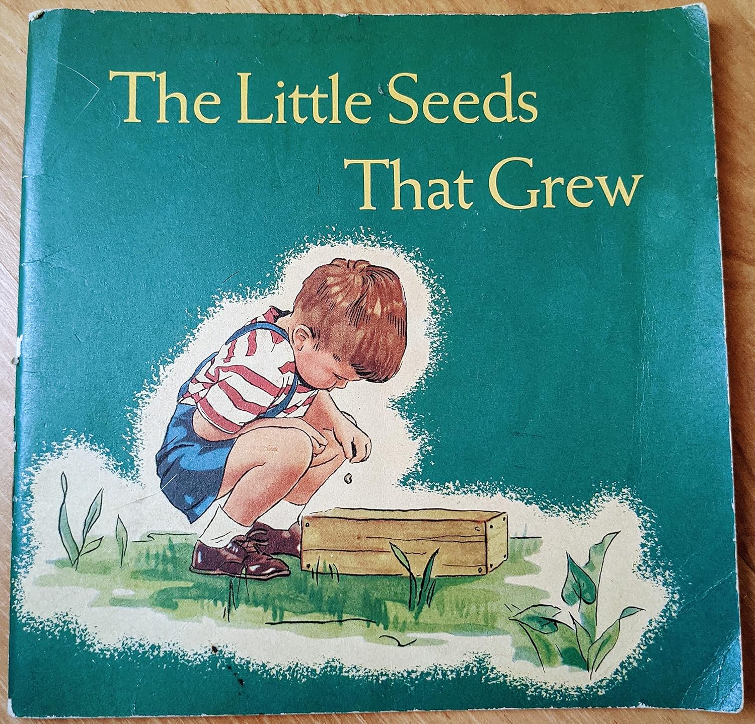 The Little Seeds That Grew: Sara G. Klein, Jacqueline C. Stone: Amazon ...