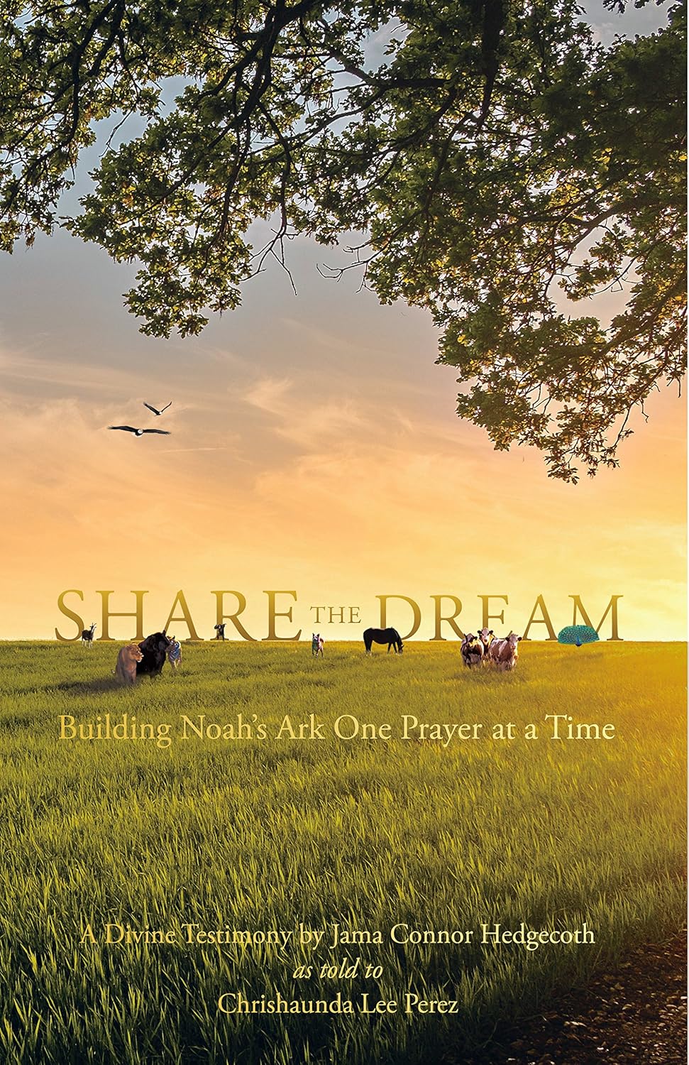 Share the Dream: Building Noah's Ark One Prayer at a Time: Jama Connor ...