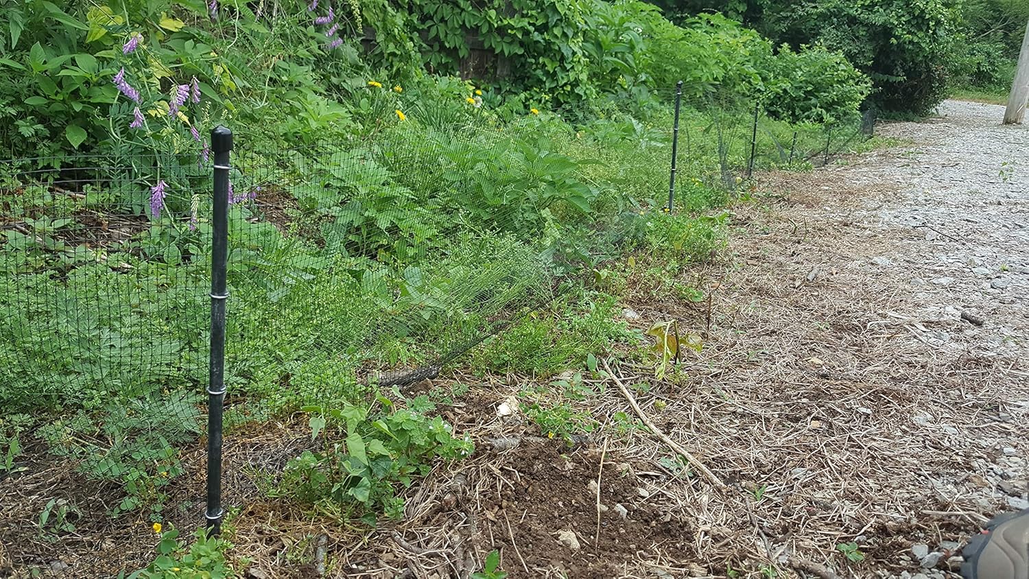 100' × 14" Snake Fence Barrier : Amazon.in: Garden & Outdoors