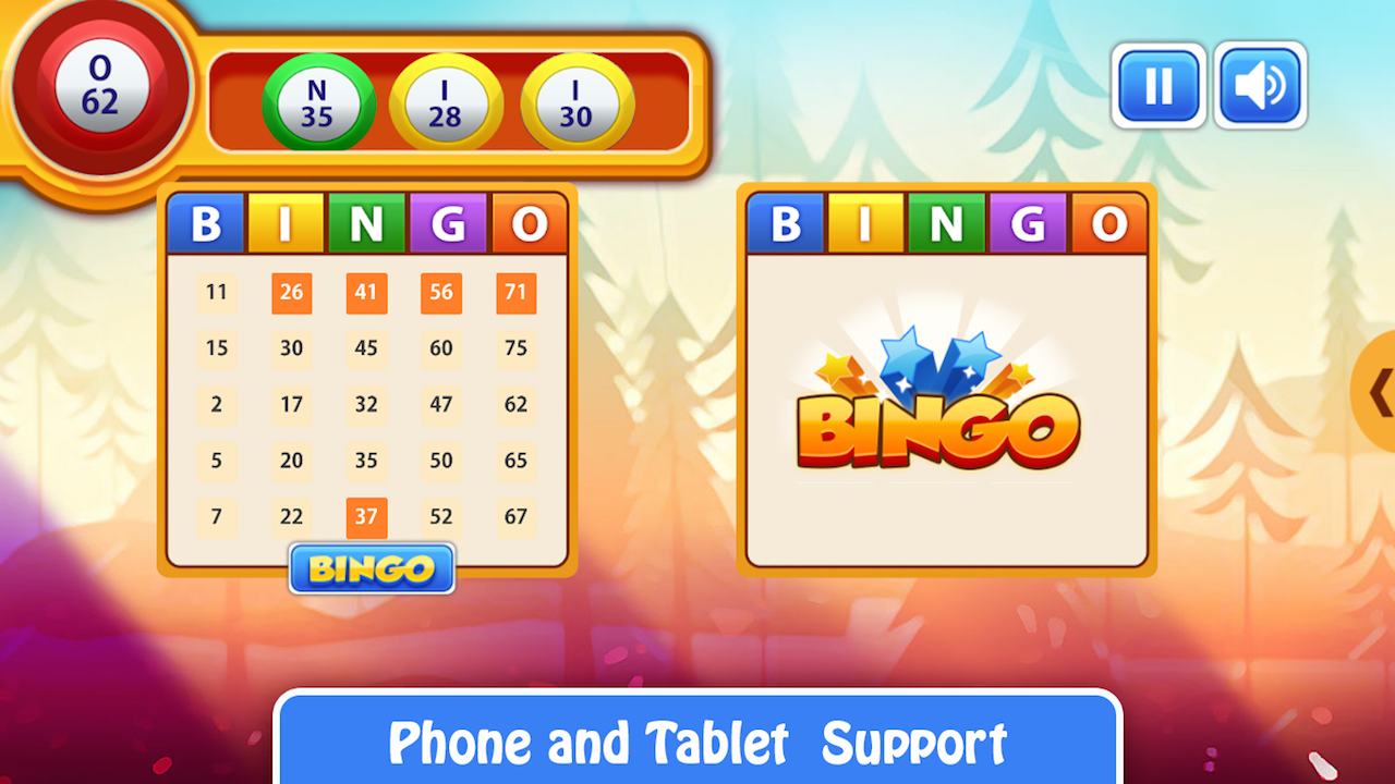 Bingo - App on the Amazon Appstore