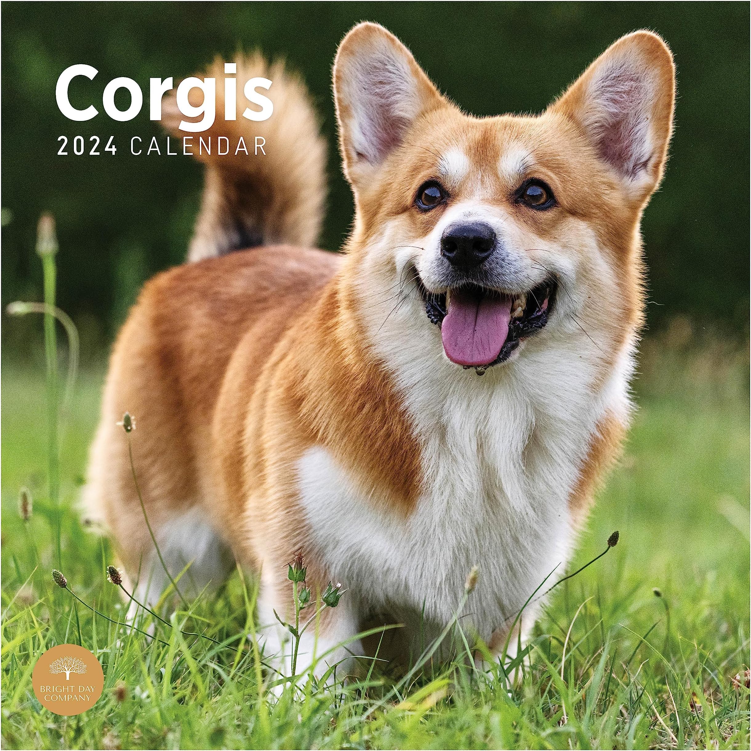 2025 Greek Islands Monthly Wall Calendar by Bright Day, 12 x 12 Inch ...