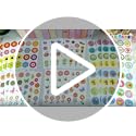 Amazon.com: Joy Bang 344 Pcs Spring Stickers for Kids Flowers Stickers ...