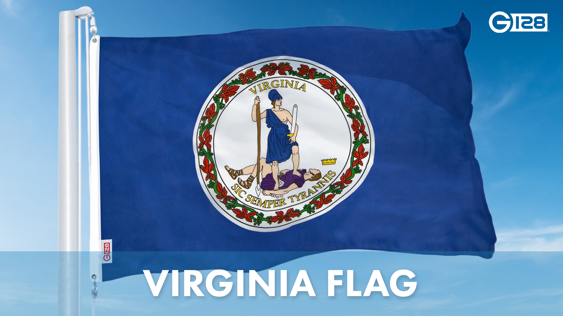 Bandera De Virginia Animada Virginia Mapa Ee Uu Gráficos