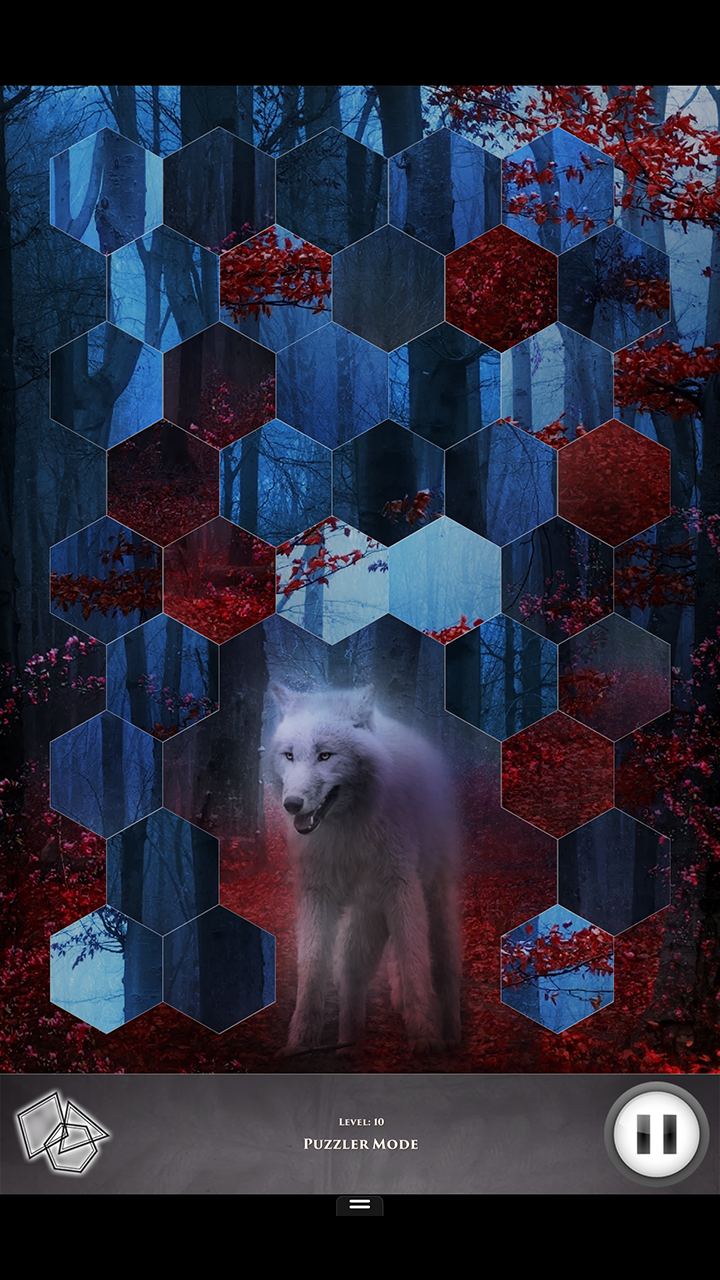 Hidden Scenes - Animal Seasons - App on Amazon Appstore