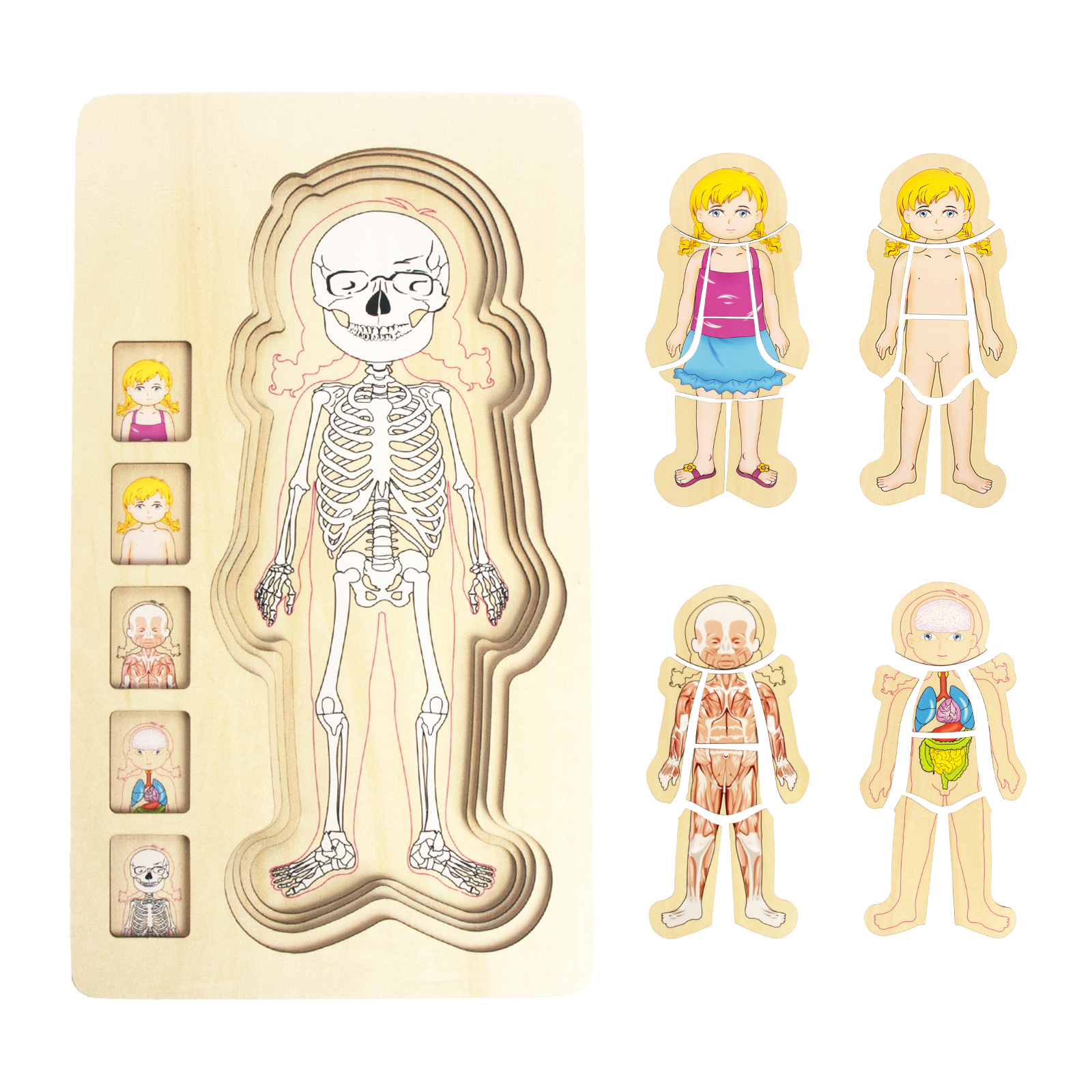 Fabuloso Memorama De Las Partes Del Cuerpo Humano Para Aprender Jugando