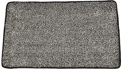Amazon.com: IM HOME Durable Chenille Absorbent Door Mat Indoor Doormat ...