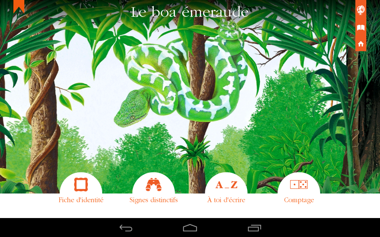 Les animaux de la jungle - Application sur Amazon Appstore