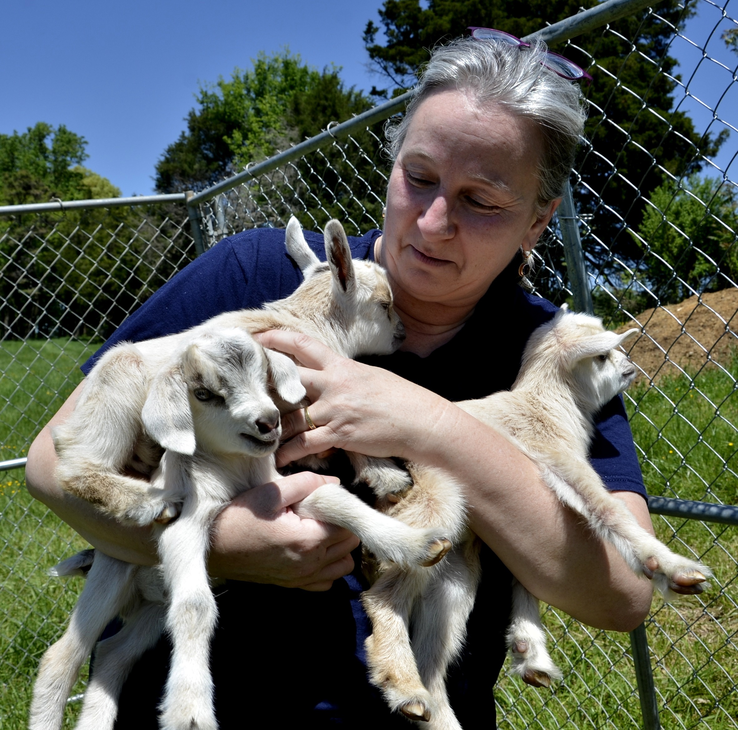 Amazon.com: Anora Sutherland: books, biography, latest update