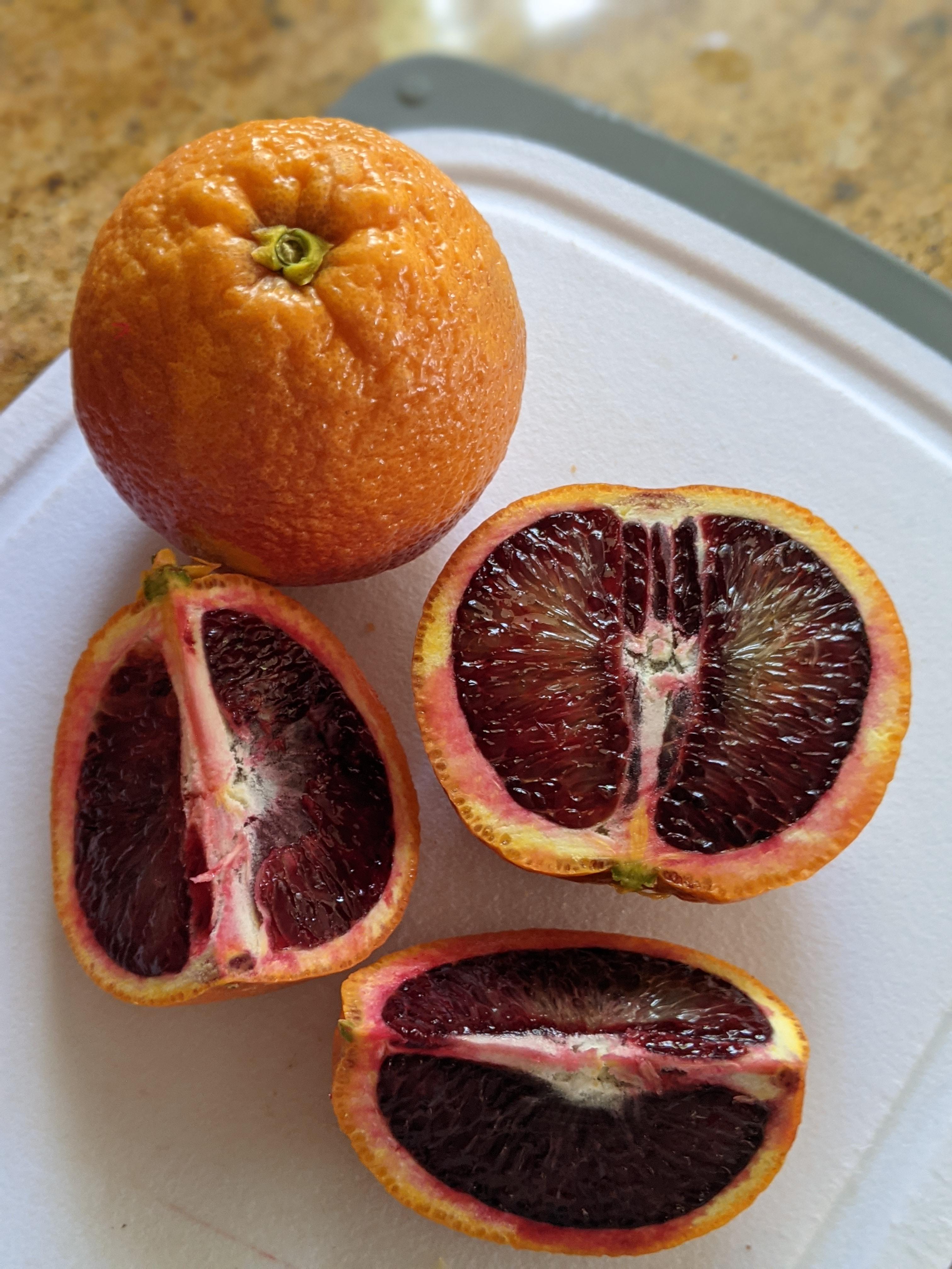 Amazon.com: Orange Blood Bag, 32 Ounce : Grocery & Gourmet Food