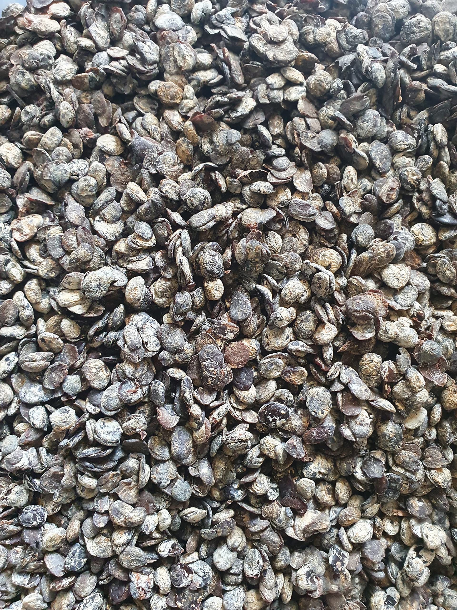 Sun Dried Whole Locust Beans (Iru Woro) 500g for £25 : Amazon.co.uk ...